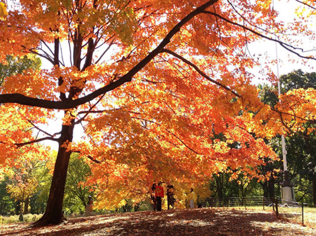 25 gorgeous photos of New York City in the fall