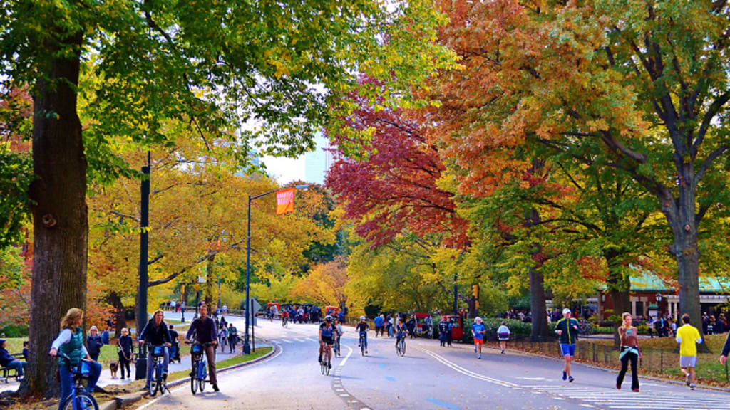 25 gorgeous photos of New York City in the fall