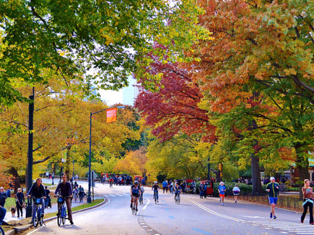 25 gorgeous photos of New York City in the fall