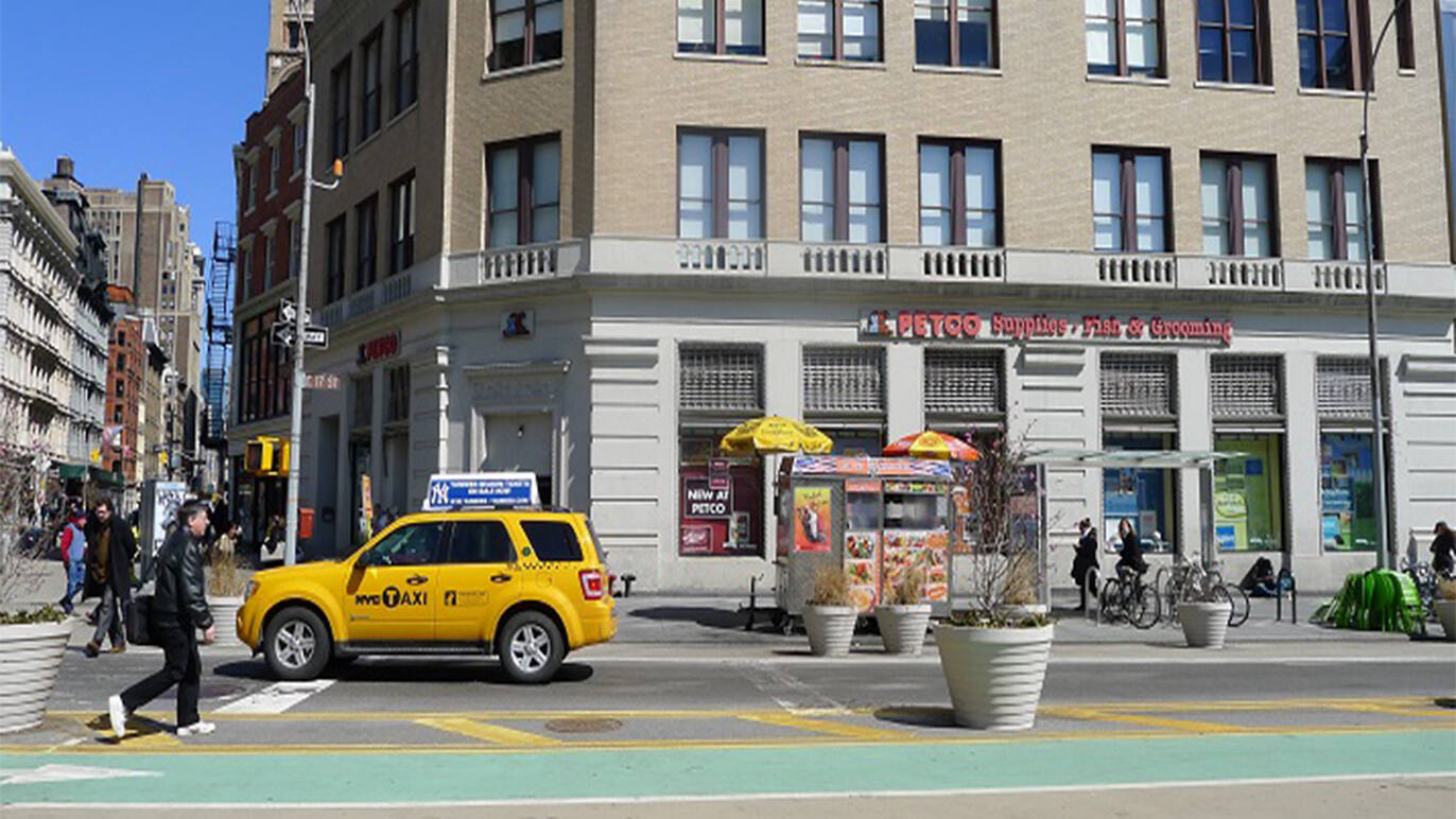 The best pet supply stores in NYC