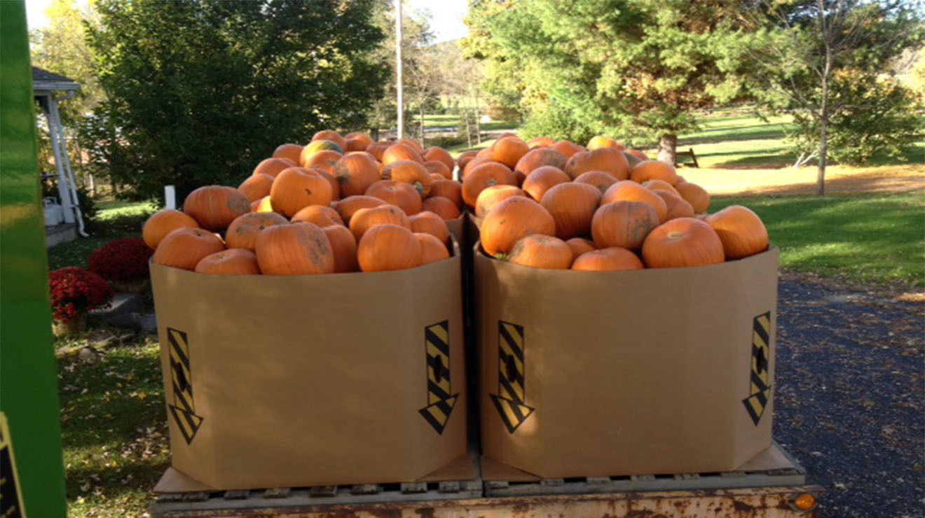 Kelder's Farm | Attractions in New York Kids