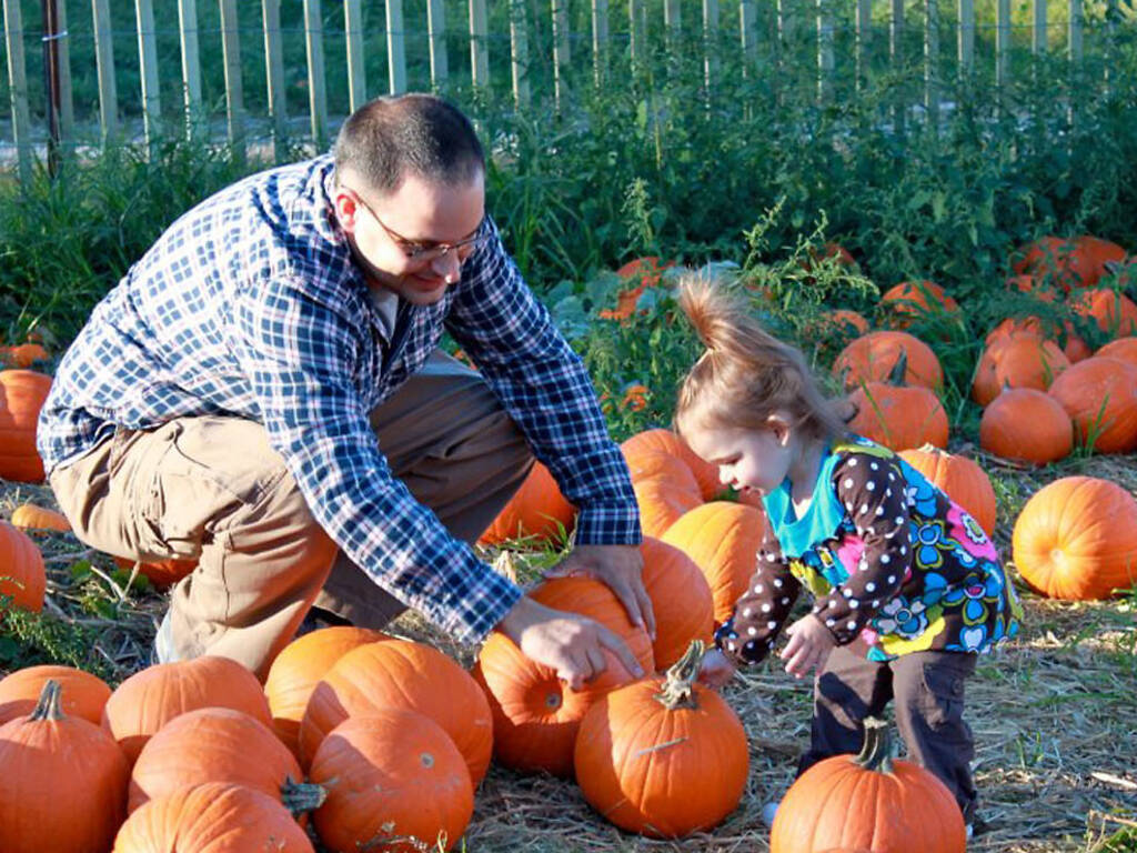 17 Pumpkin Patches Near NYC for Fall Fun