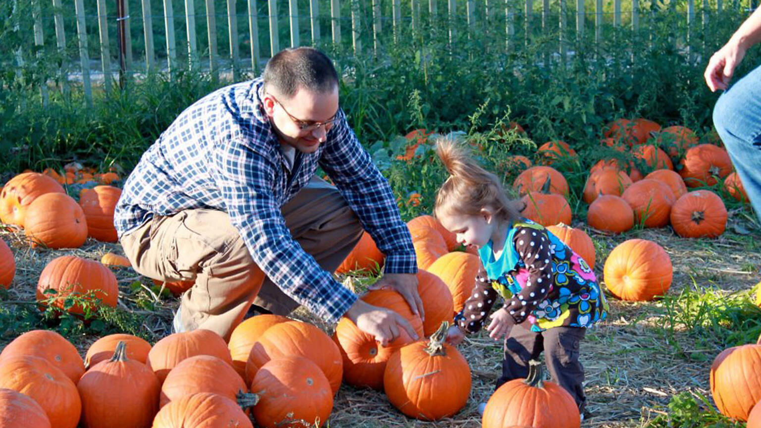17 Pumpkin Patches Near NYC for Fall Fun