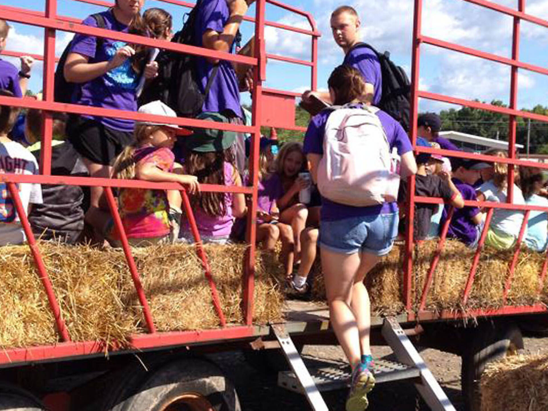 12 Best Corn Mazes Near NYC
