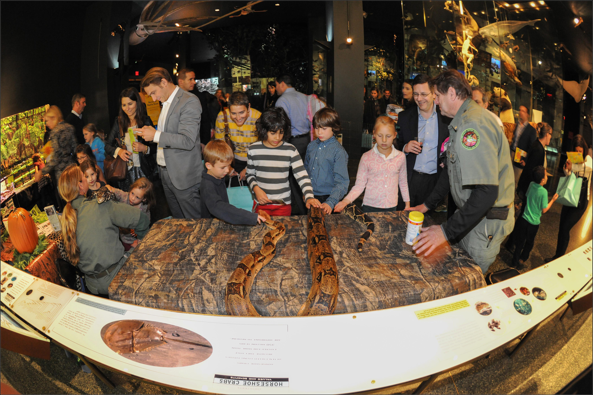 AMNH Family Party | Museums in New York Kids