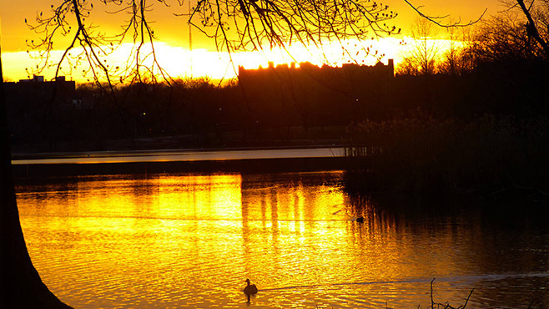 Our picks are by far the best spots to watch a beautiful sunset NYC ...