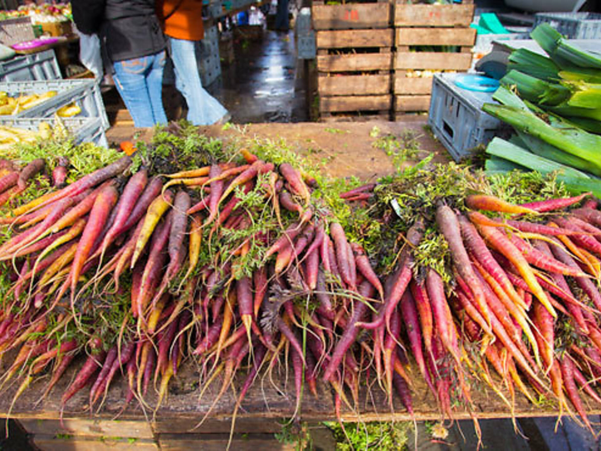 Best farmers’ market NYC picks for kids and families