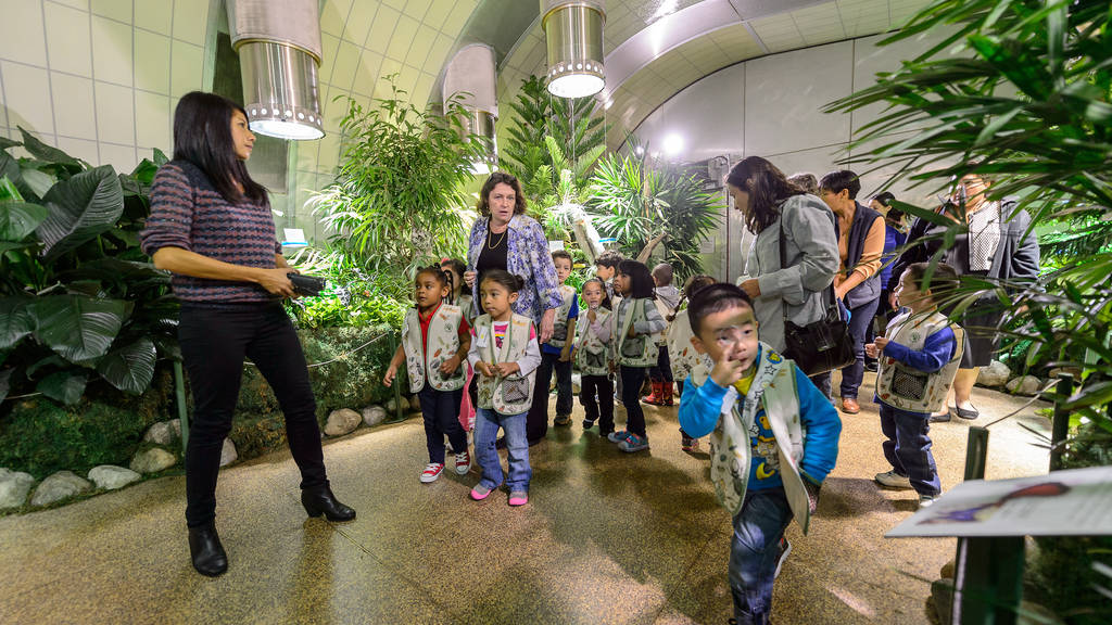 "The Butterfly Conservatory: Tropical Butterflies Alive in Winter" | in ...