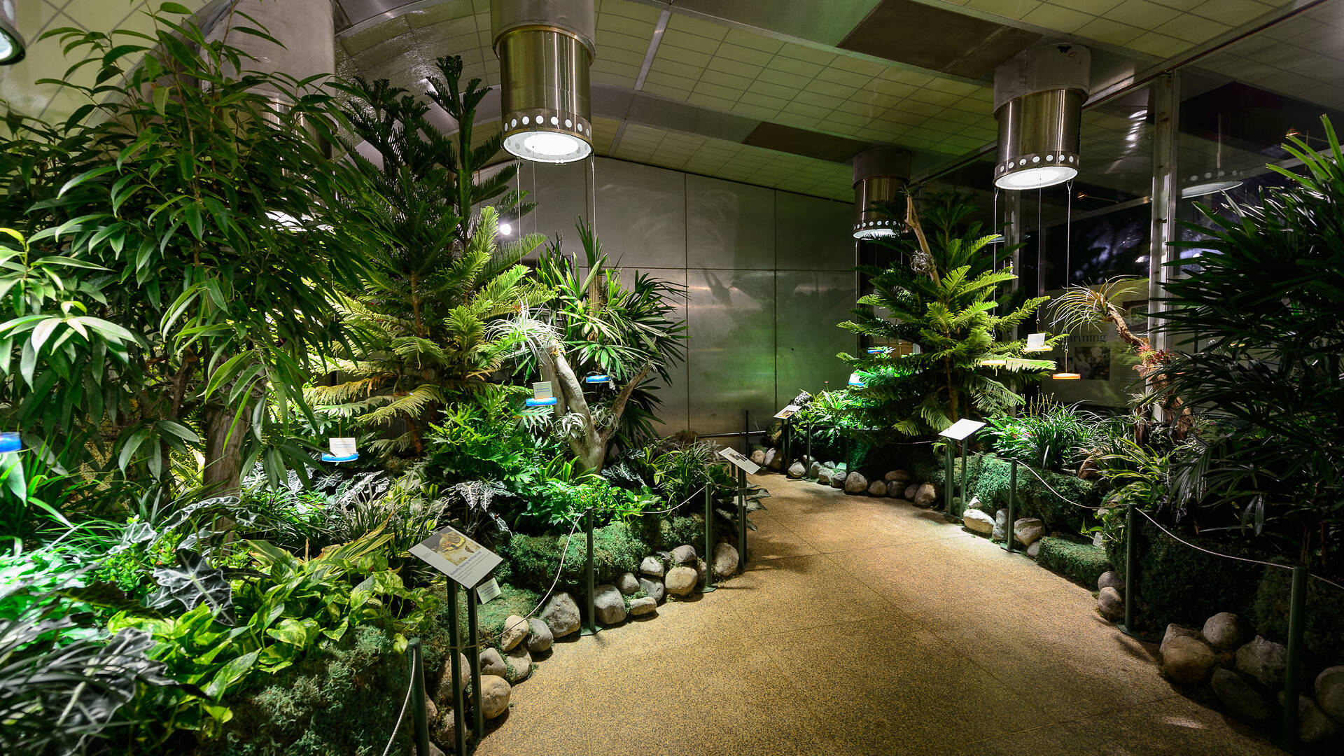 "The Butterfly Conservatory: Tropical Butterflies Alive in Winter" | in ...