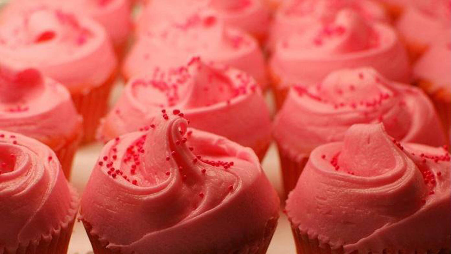 Little Cupcake Bakeshop | Restaurants in Bay Ridge, New York Kids