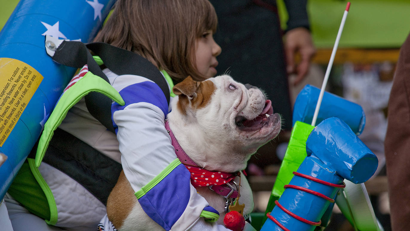 Best annual pet events for families in New York City
