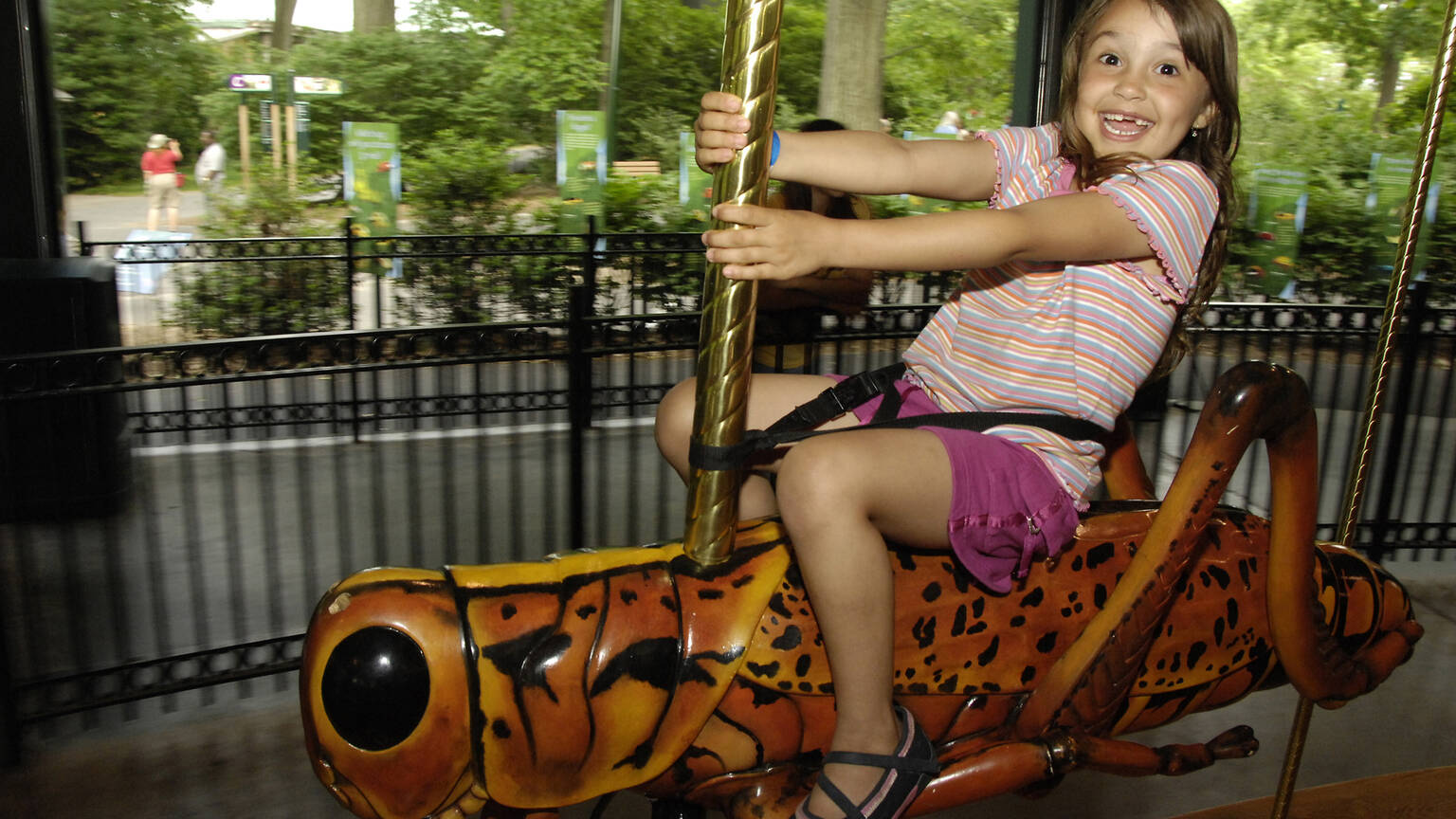 Bug Carousel | Attractions in New York Kids