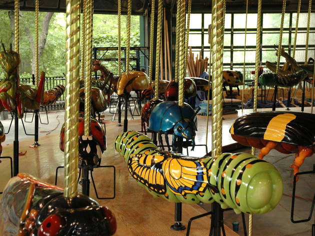 Bug Carousel | Attractions in Bronx