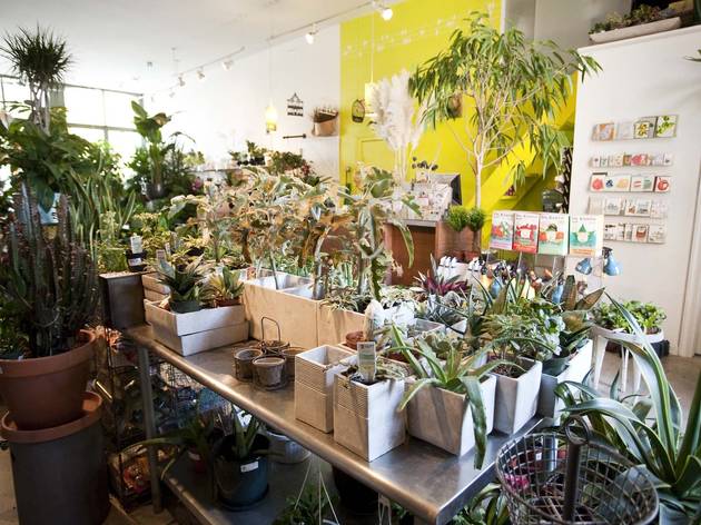 Sprout Home | Shopping in Williamsburg, New York Kids