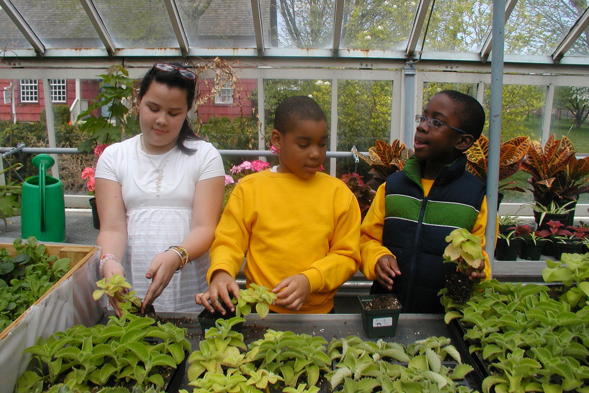 Queens County Farm Museum | Museums in Queens, New York Kids