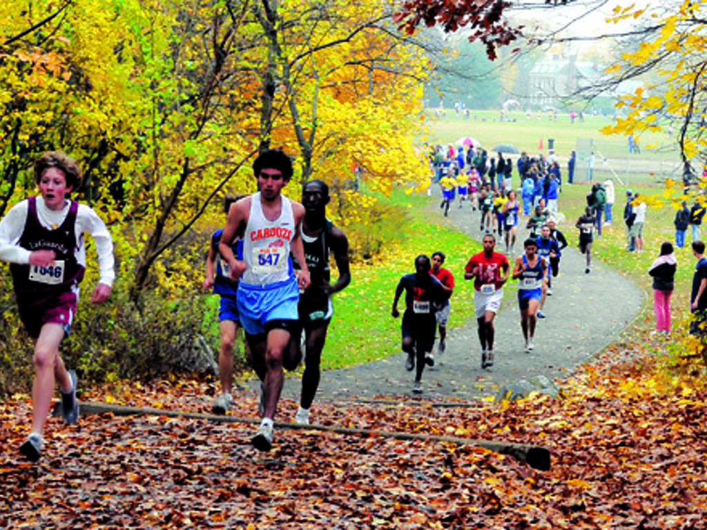 New York fall foliage and leaf-peeping guide for families