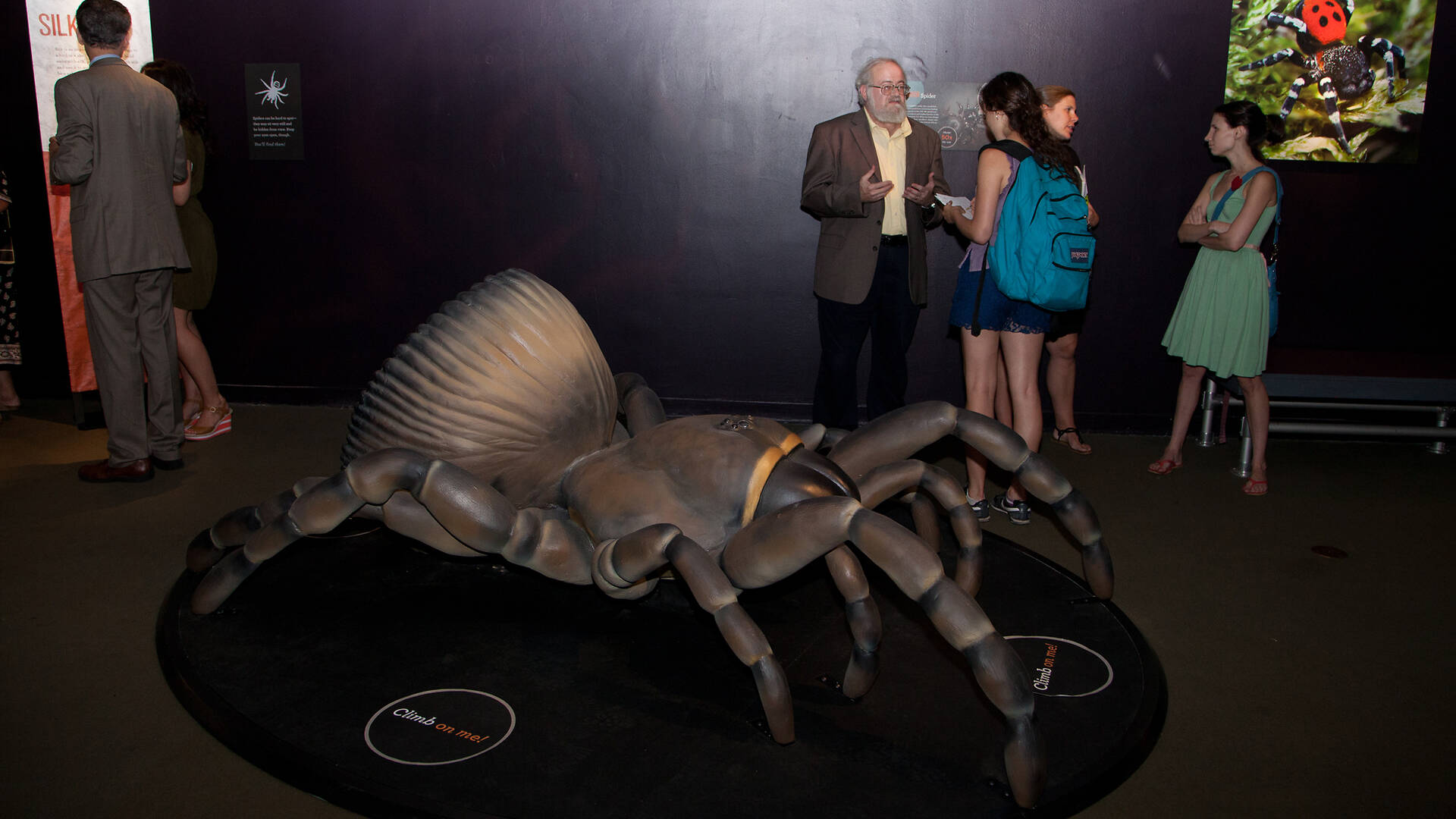 Five things to do at the new museum exhibit "Spiders Alive!"