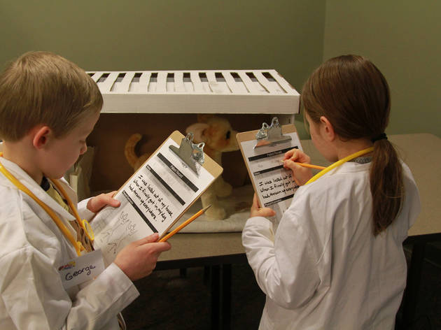 Special interest classes for kids in New York City