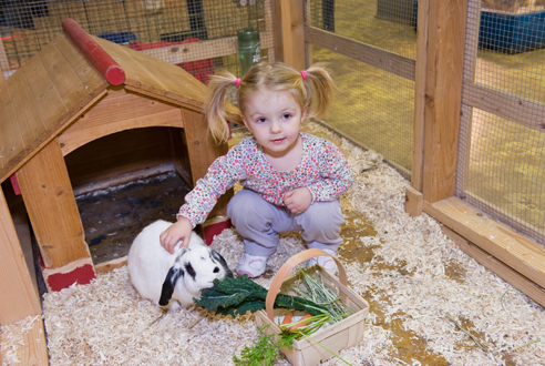 Animal care classes for NYC kids