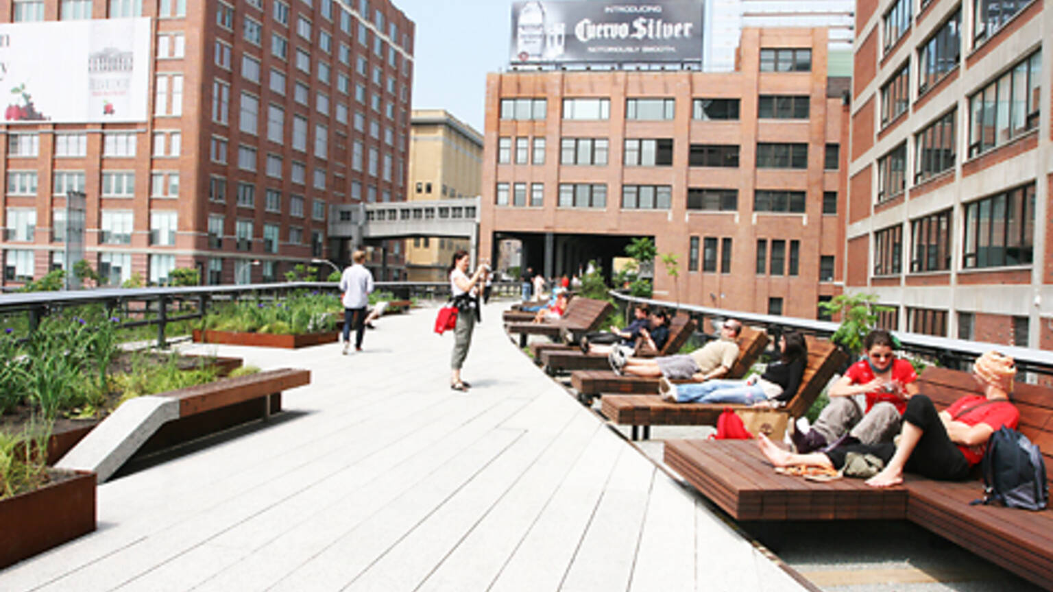 The High Line | New York, NY | Attractions in Chelsea, New York Kids