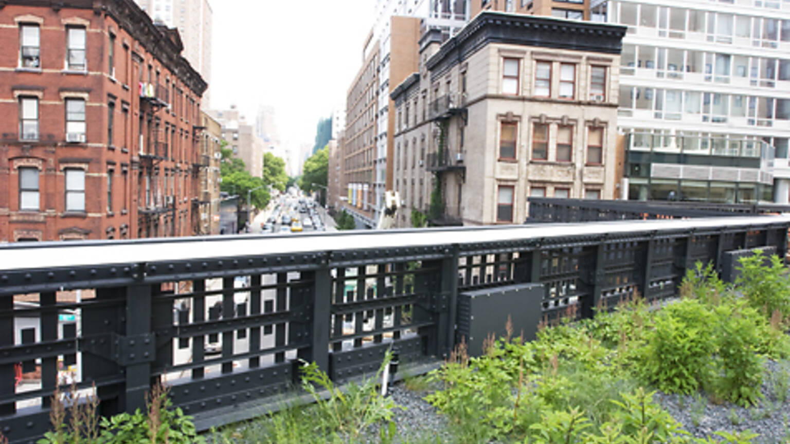 The High Line | New York, NY | Attractions in Chelsea, New York Kids
