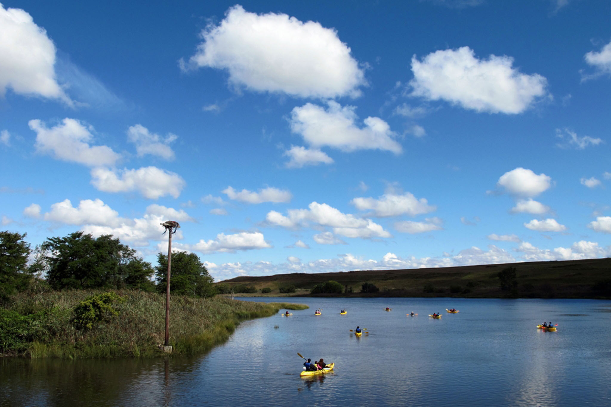 Freshkills Park | Attractions in Staten Island, New York Kids