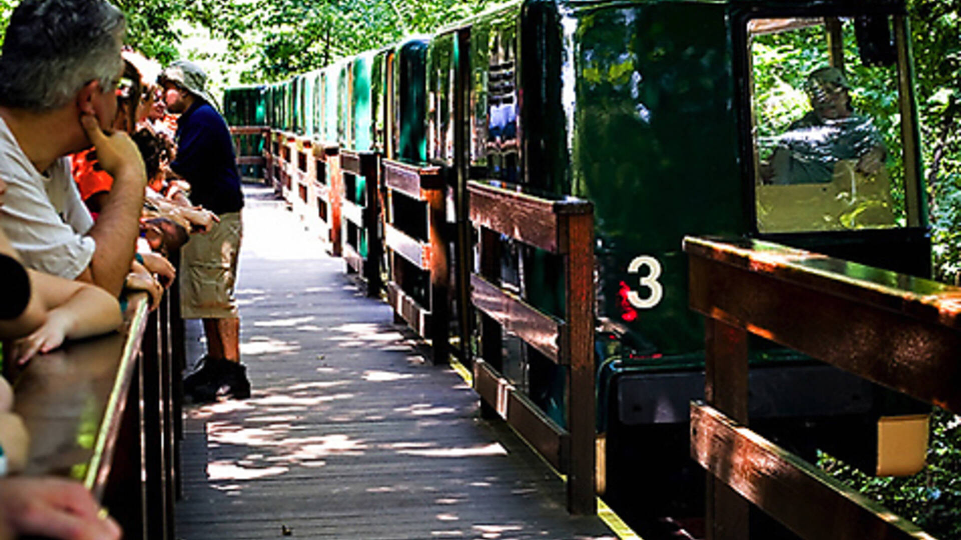 Bronx Zoo Wildlife Conservation Society | Bronx, NY | Attractions in ...