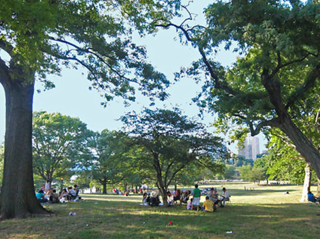 Inwood Hill Park | Attractions in Inwood, New York Kids