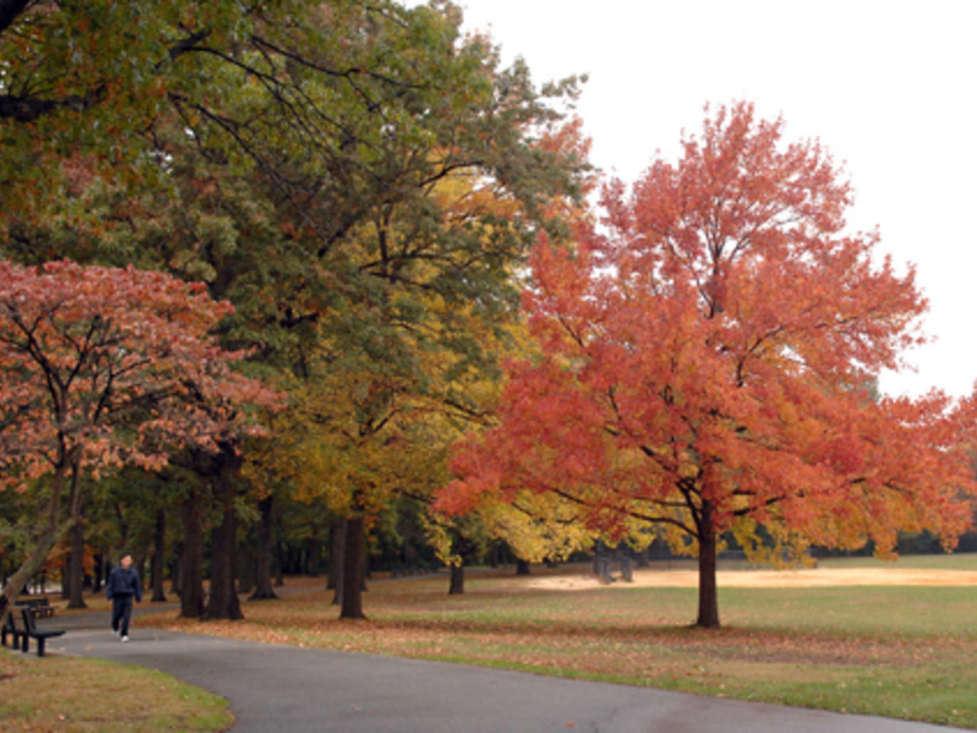 New York fall foliage and leaf-peeping guide for families