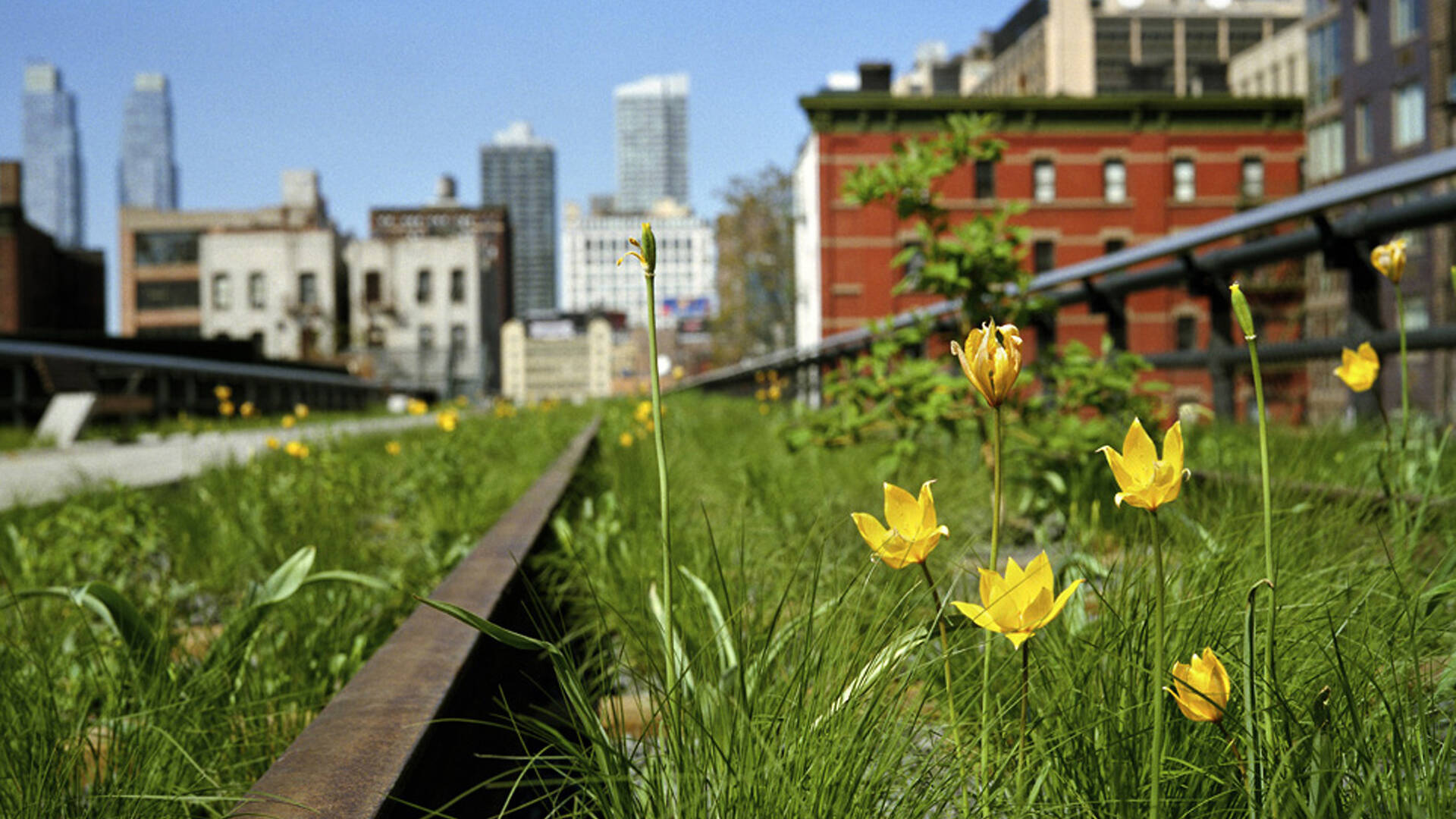 The High Line | New York, NY | Attractions in Chelsea, New York Kids