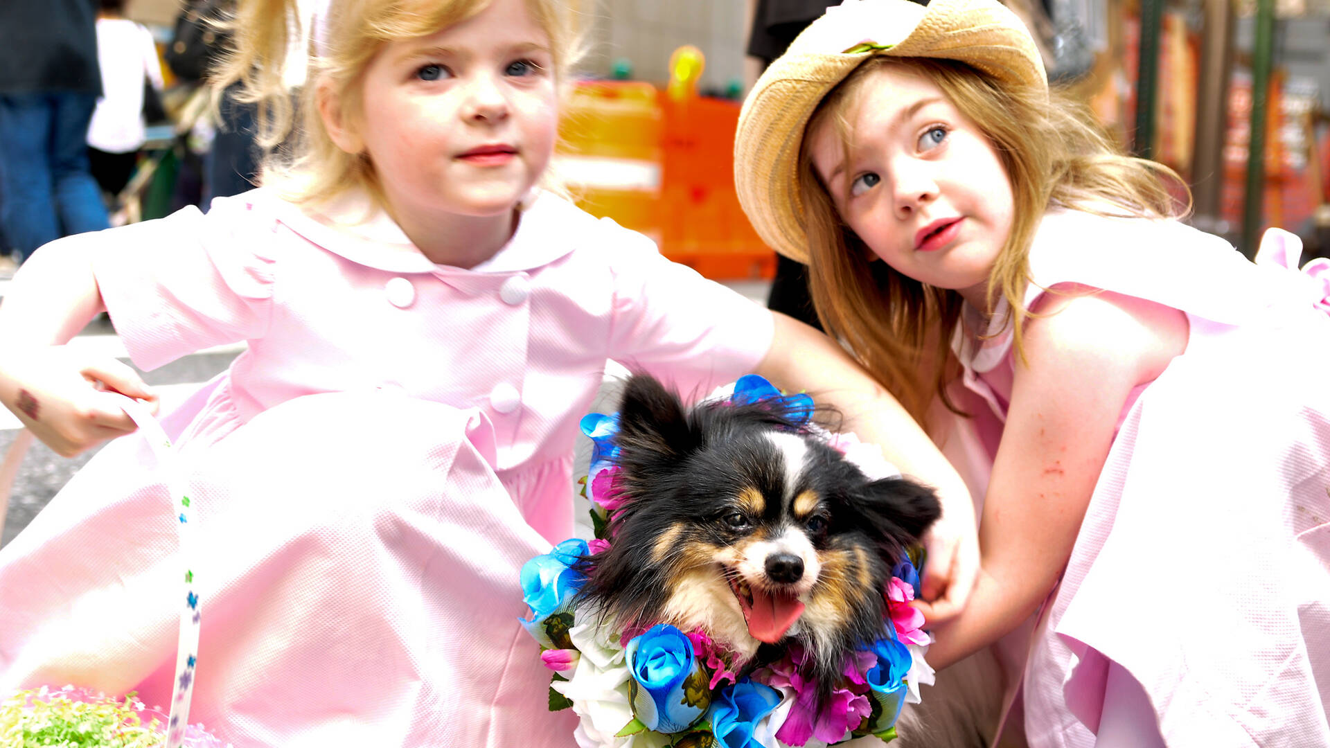 Best annual pet events for families in New York City
