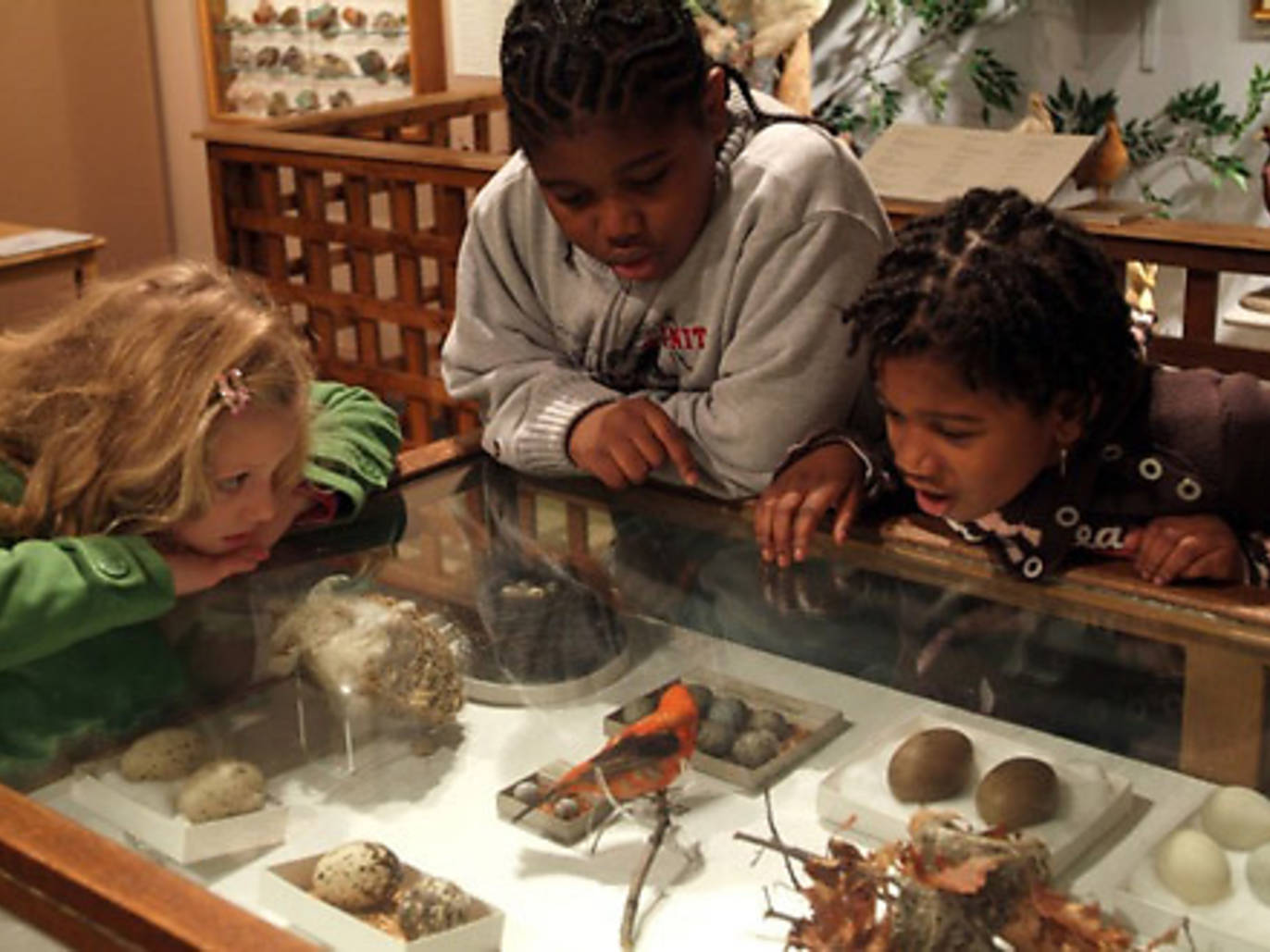 Winter 2013: New family-friendly exhibitions at NYC museums