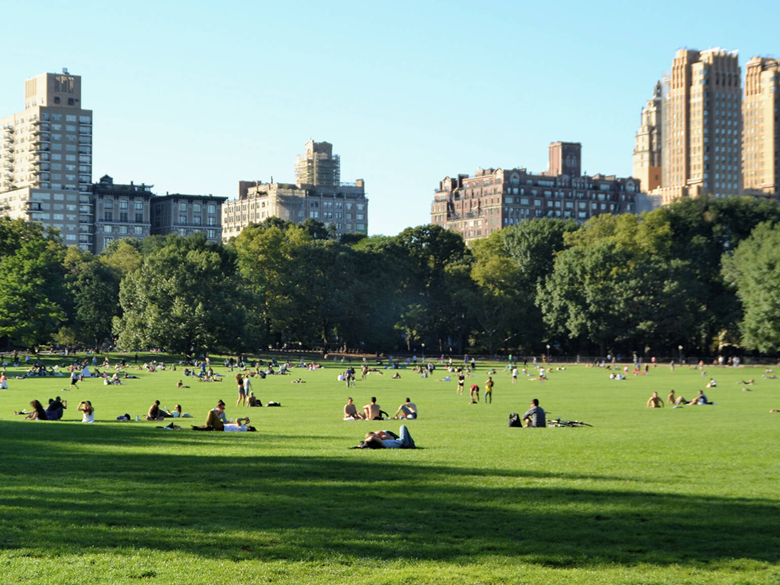 Central park in summer, see all the beautiful photos