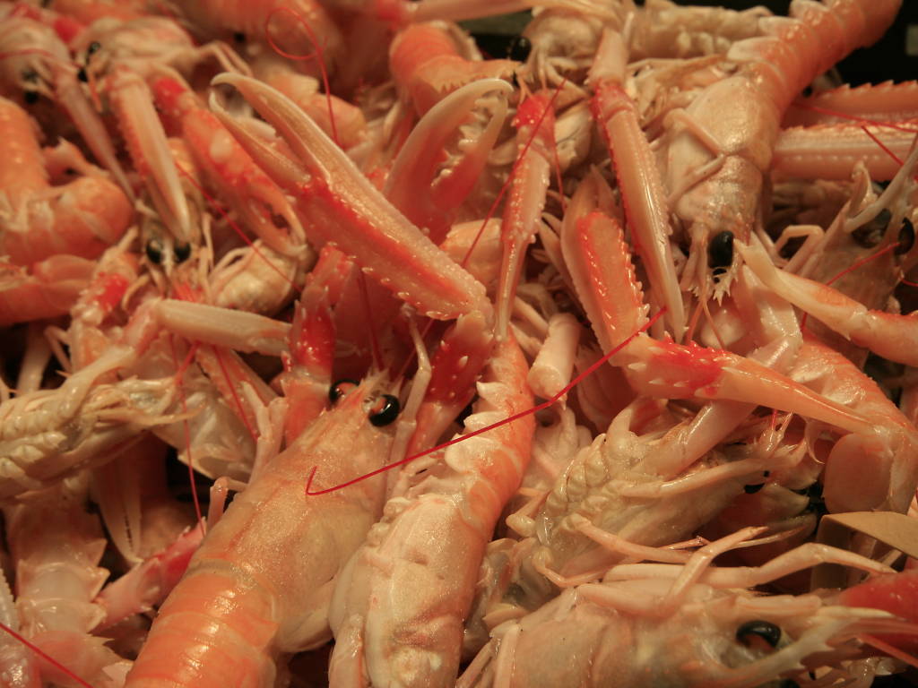 Top ten Croatian food experiences | Time Out Croatia