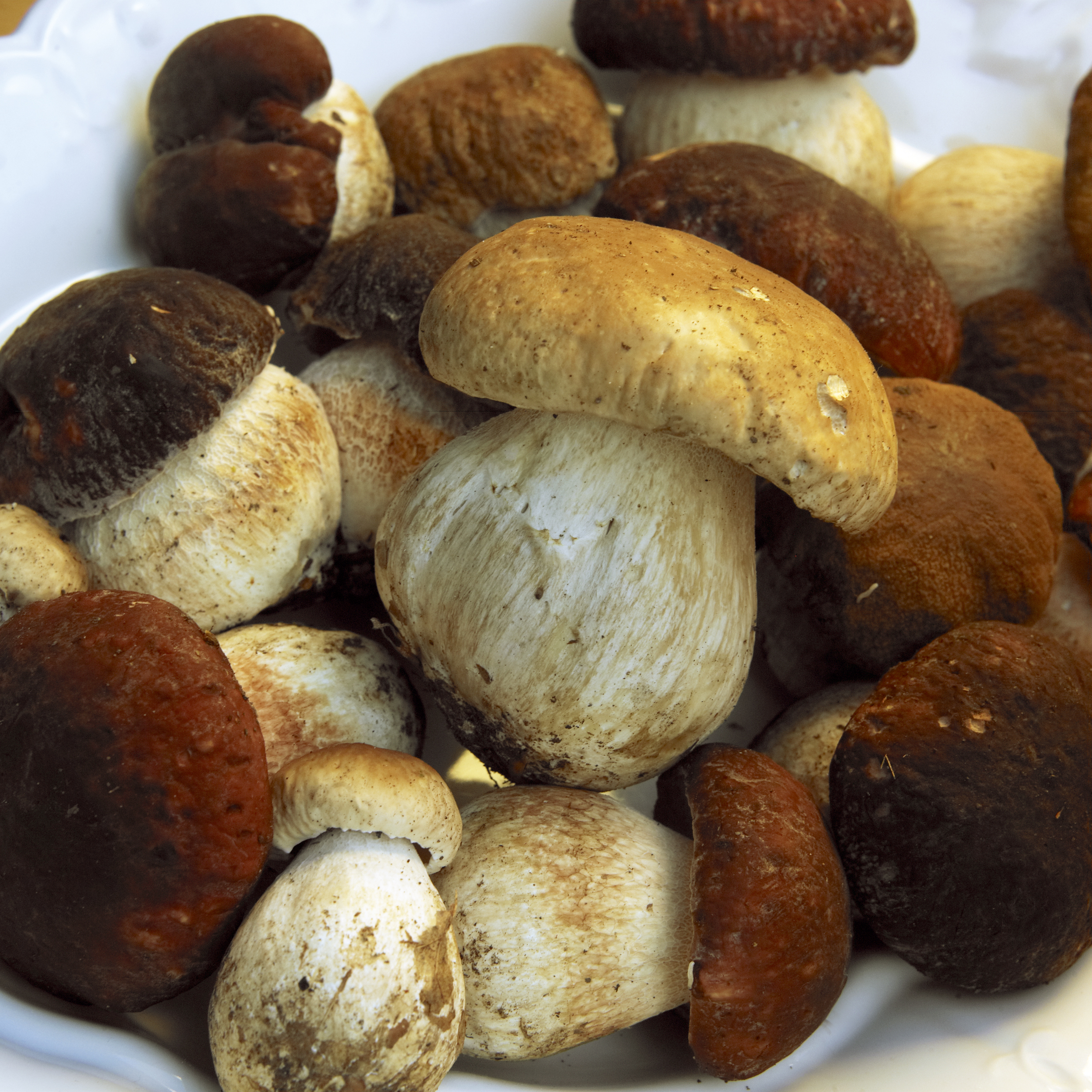 Top ten Croatian food experiences | Time Out Croatia