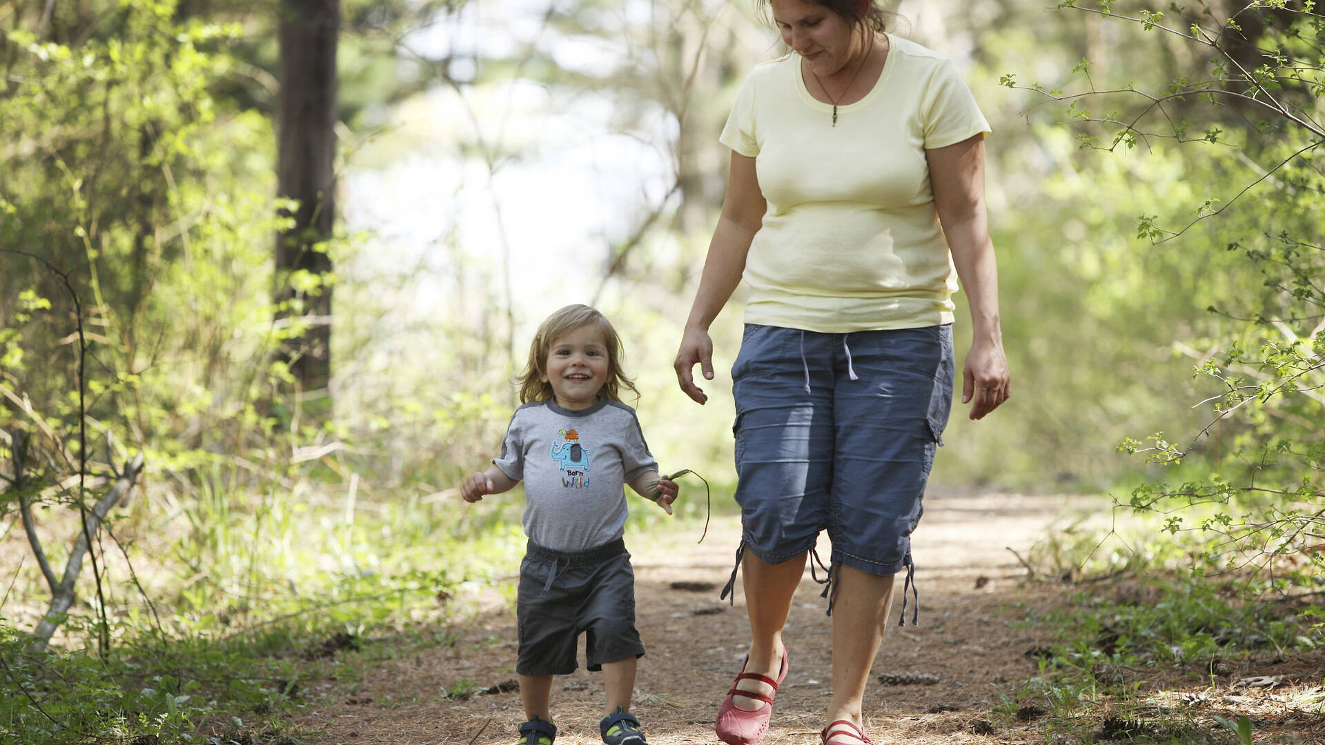 Hiking trails that the whole family will love