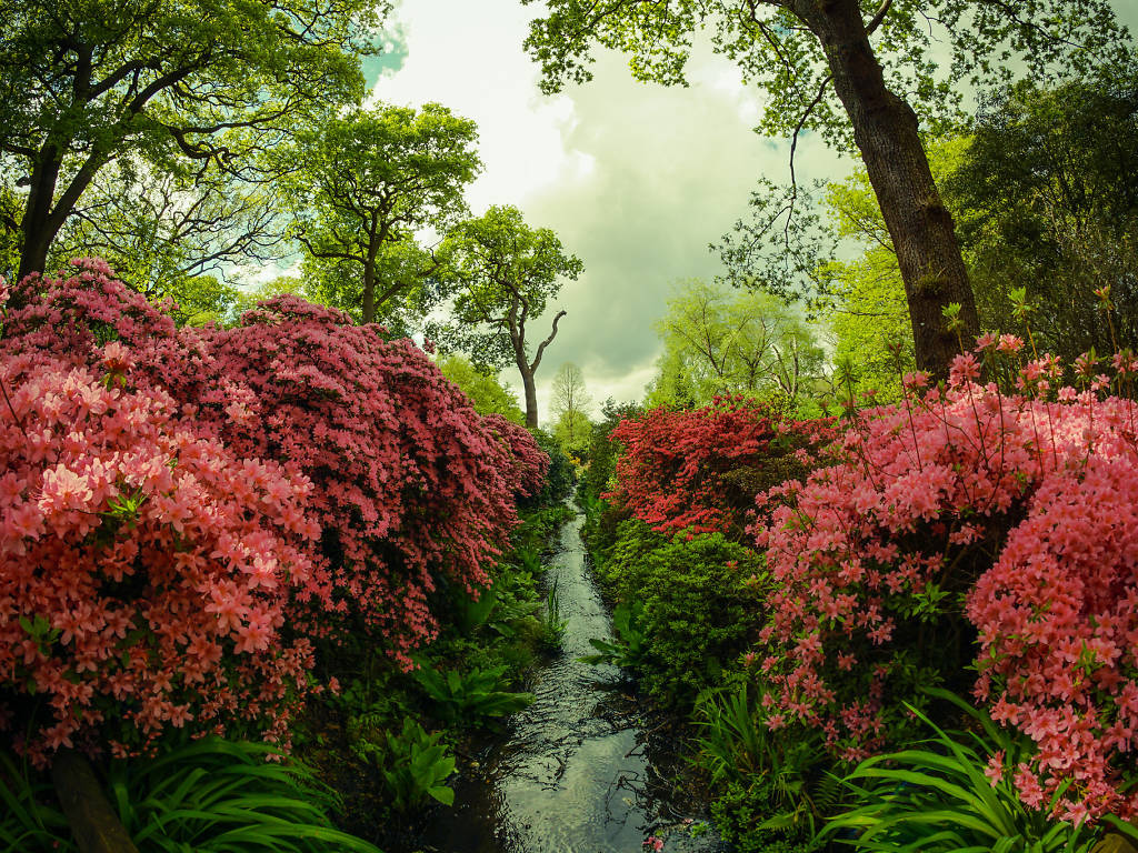 23 Stunning Places To See Spring Flowers in London Parks and Gardens