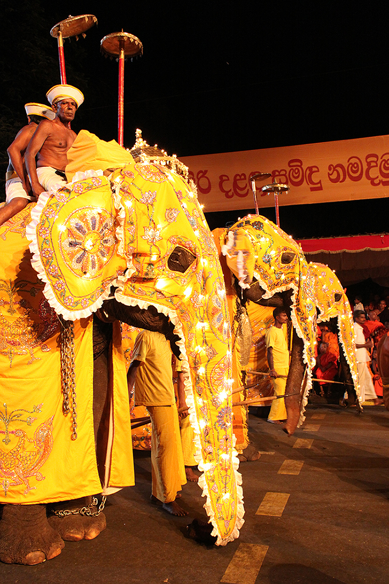 The Kandy Esala Perahera