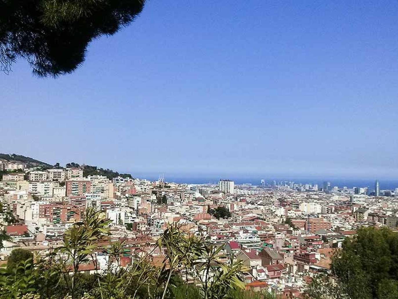 16 Best Views In Barcelona, From Restaurants to Rooftop Bars