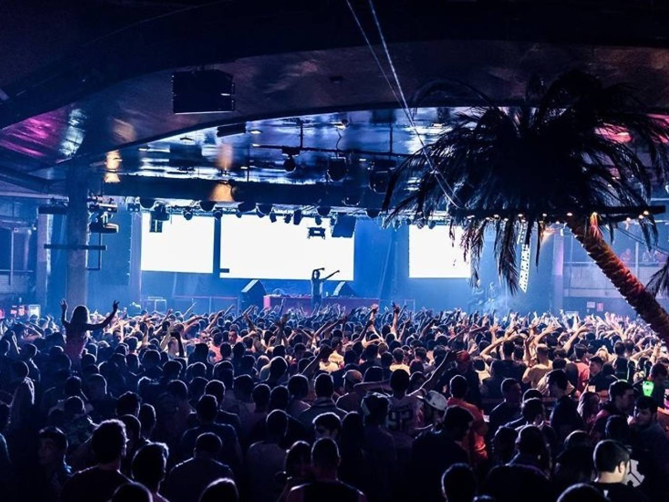 Best Clubs in Madrid