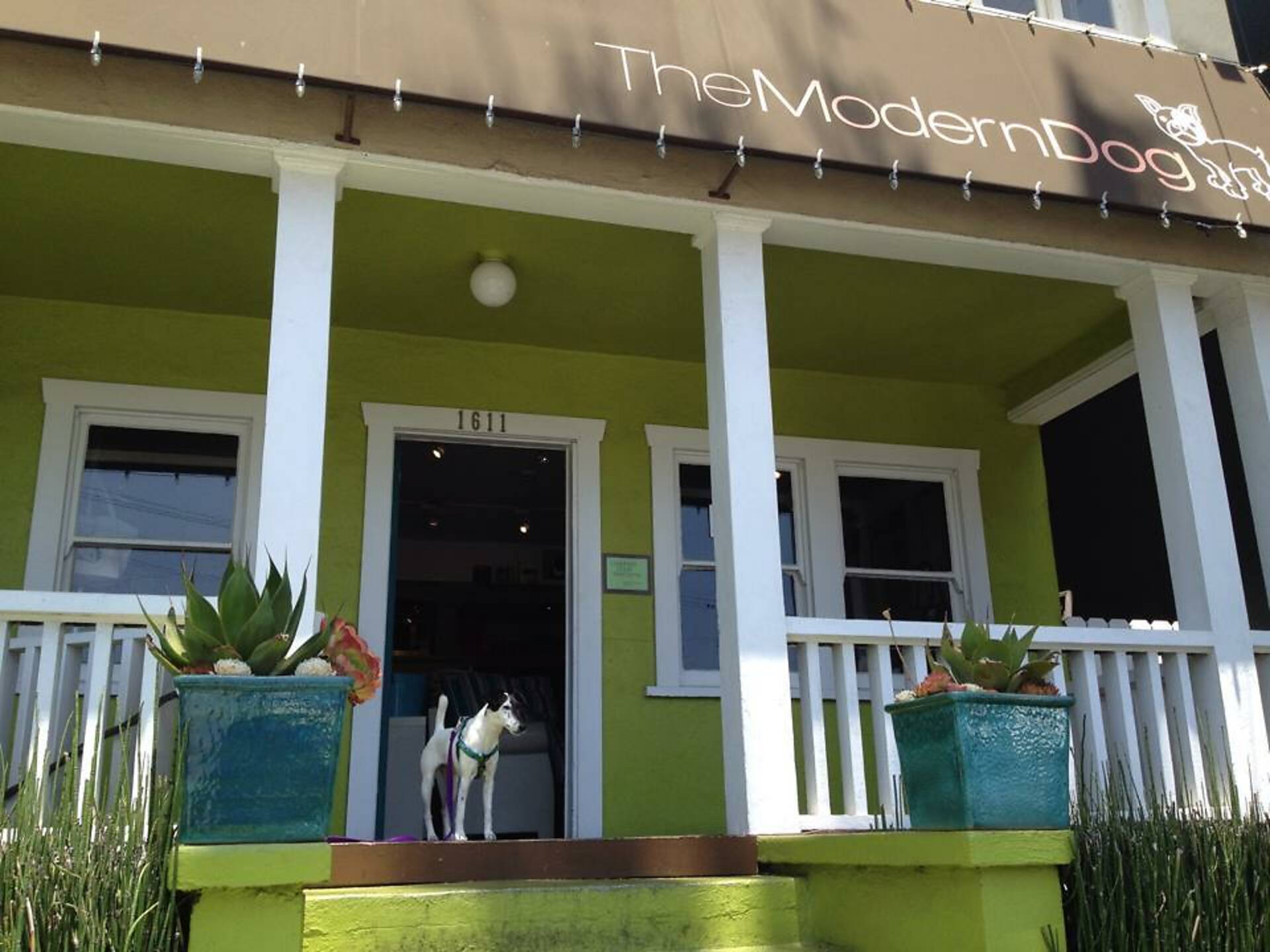 LA's best pet store options