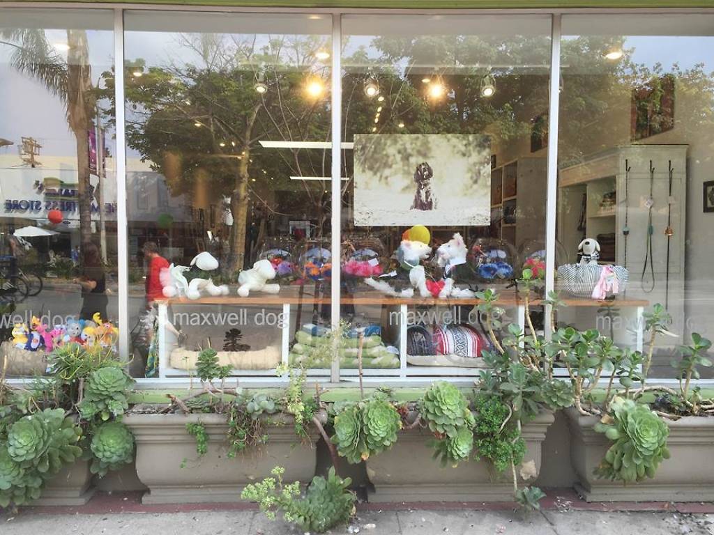 LA's best pet store options