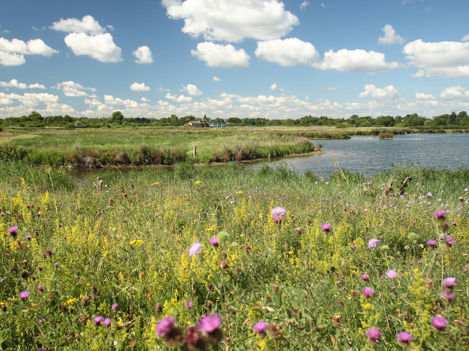 18 Places You Didn't Know Existed in Outer London | Things To Do In ...