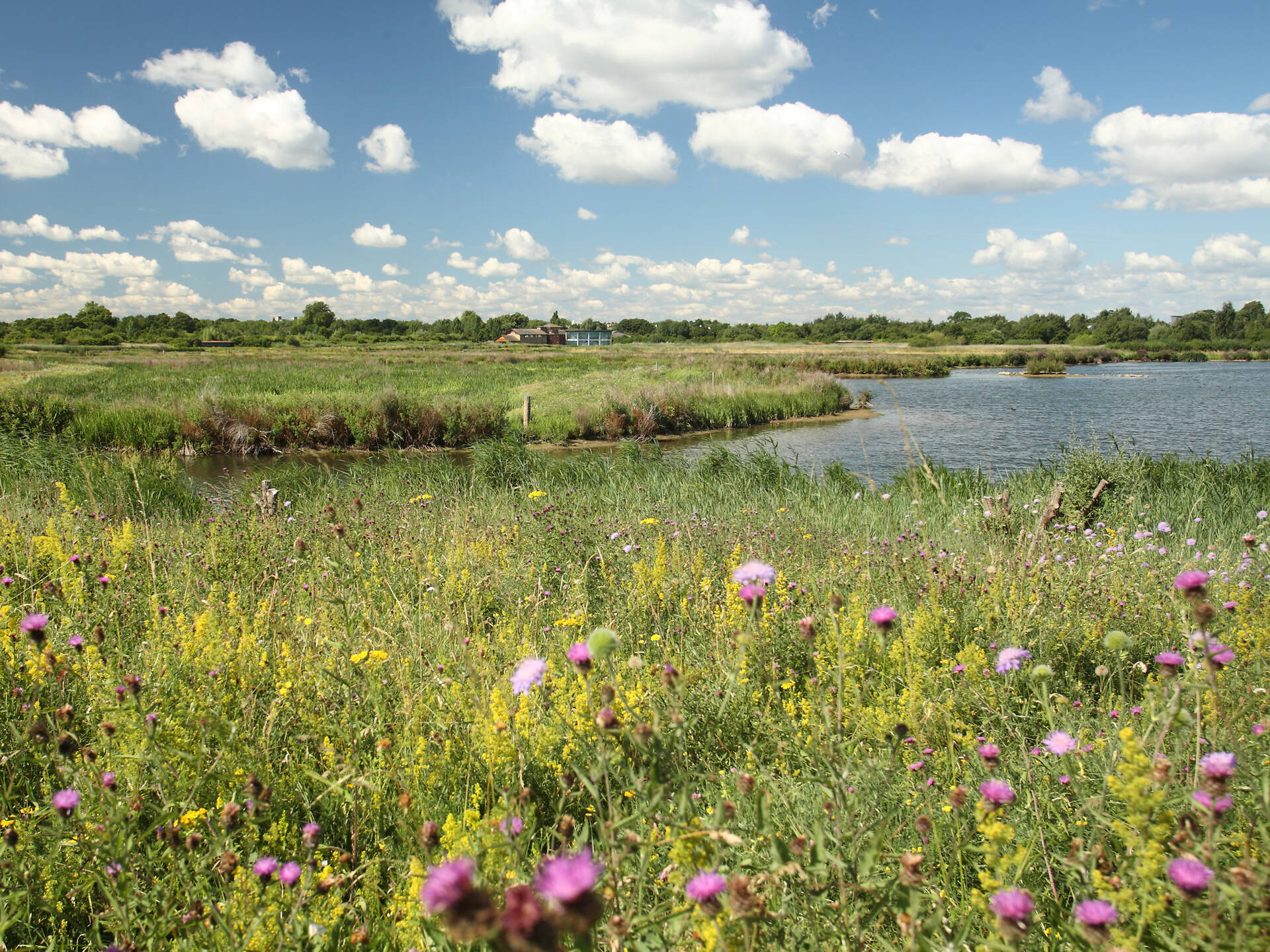 18 Places You Didn't Know Existed in Outer London | Things To Do In ...