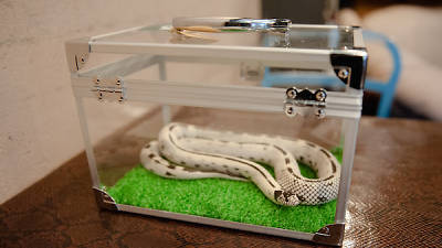 Tokyo Snake Center | Restaurants in Harajuku, Tokyo