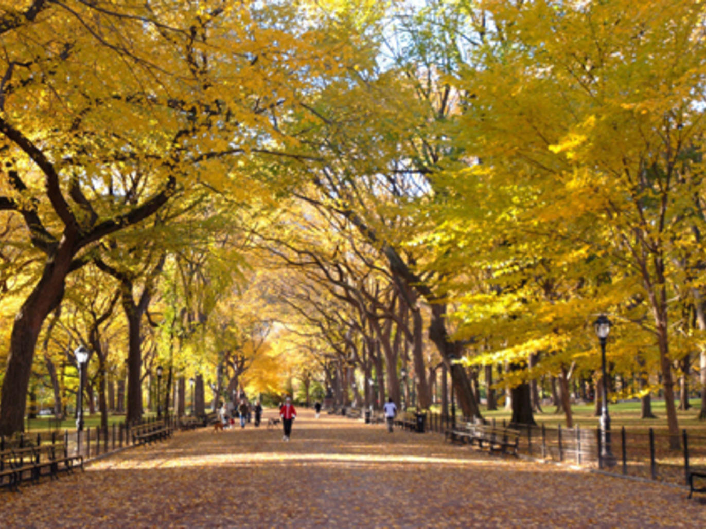 New York fall foliage and leaf-peeping guide for families