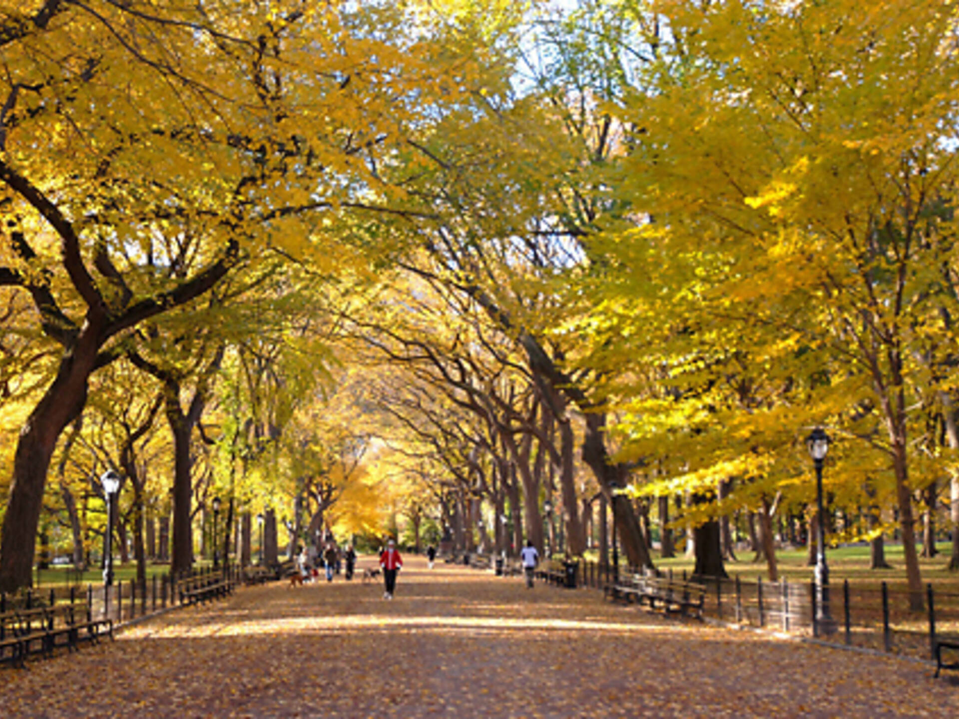 New York fall foliage and leaf-peeping guide for families
