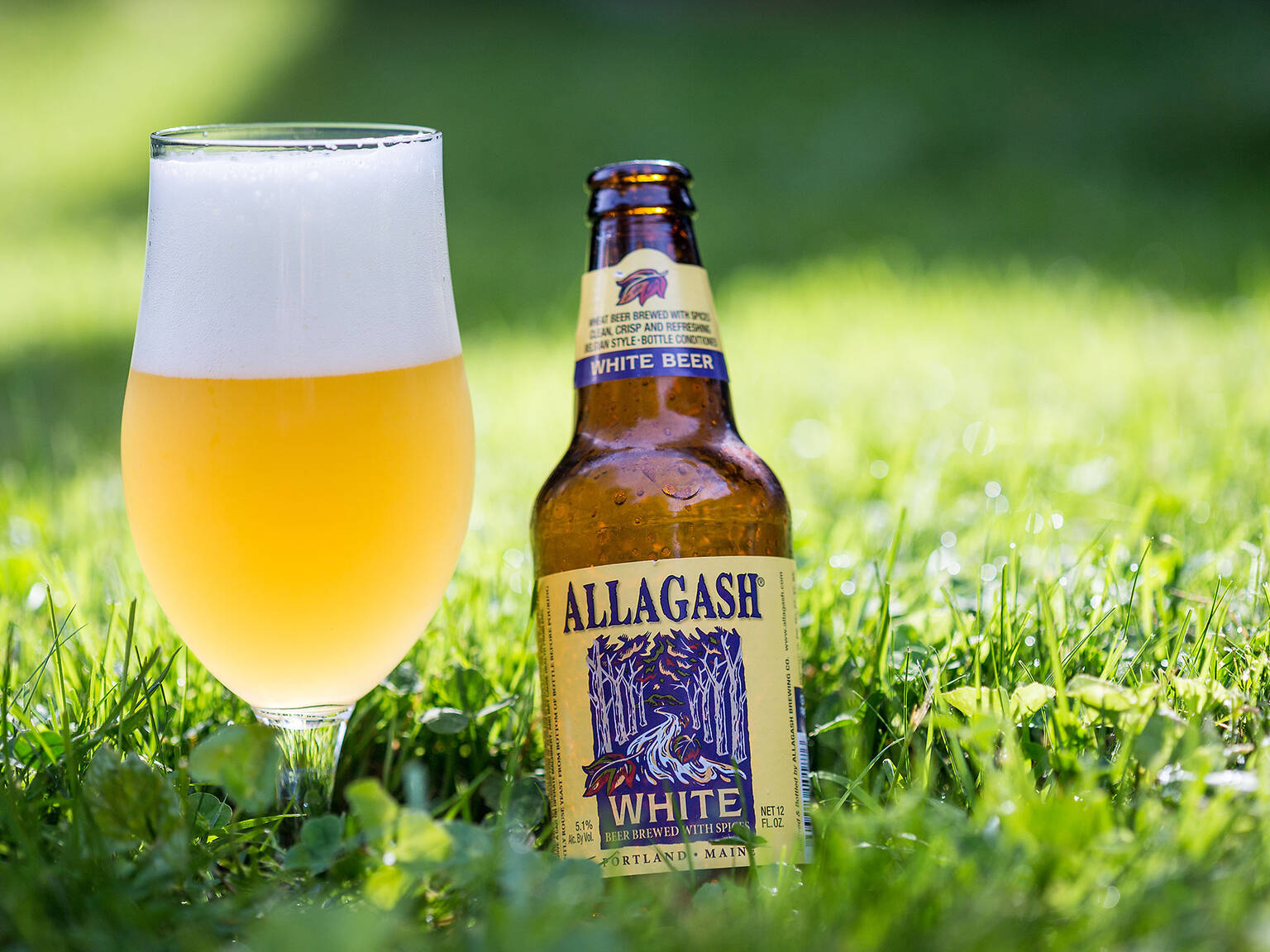 Your ultimate craft beer guide to the best brews on the market