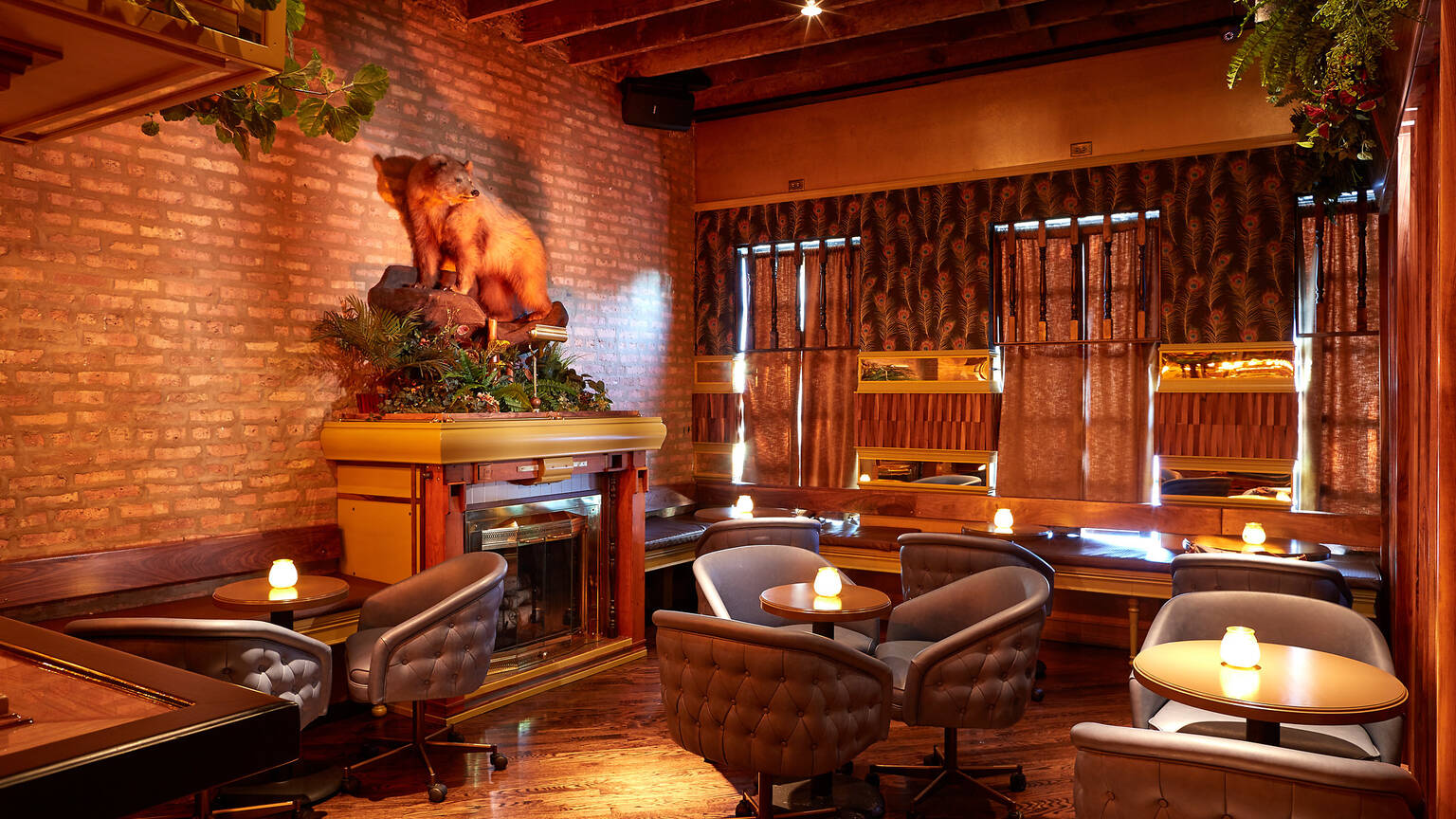 The Heavy Feather | Bars in Logan Square, Chicago