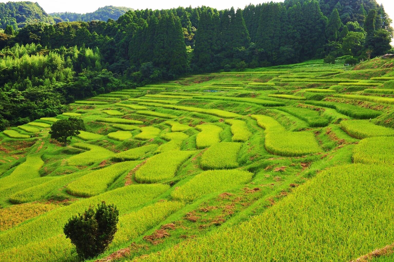 Ten things to do in Chiba – updated | Time Out Tokyo